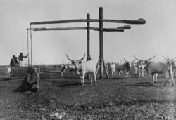 Shadoof | Engineering | Fandom