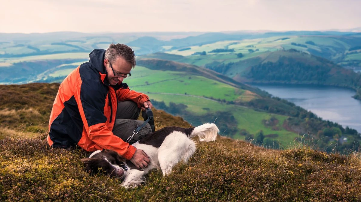 Typically British Traits | England Wiki | Fandom