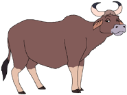 Asia 3: The Search for the Lost Water (2003)/Characters | English and ...