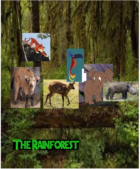 The Rainforest (1982) | English and Non-engish voice over and dubbing ...