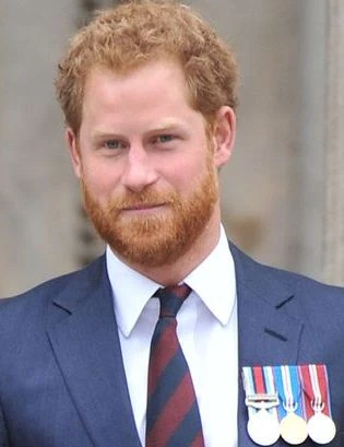 Prince Harry, Duke of Sussex | English Royal Family Wikia | Fandom