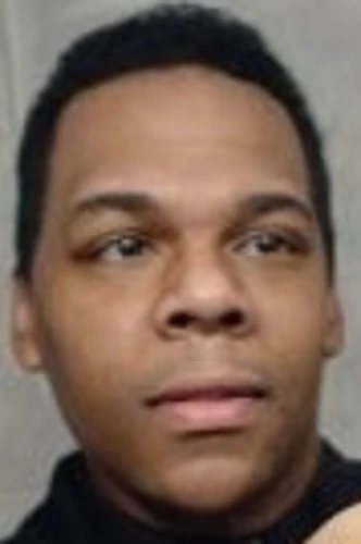 Roberto Williams | English Voice Over Wikia | Fandom