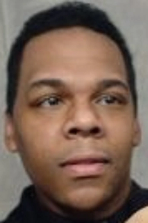 Roberto Williams | English Voice Over Wikia | Fandom