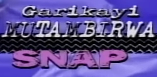 Van-Pires (1997) | English Voice Over Wikia | Fandom