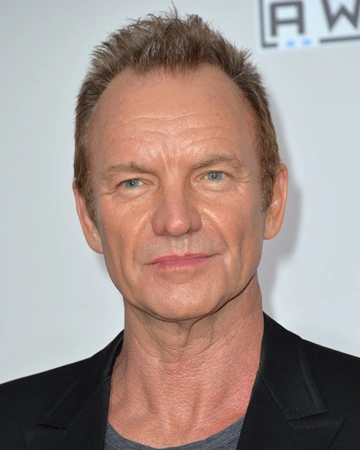 Sting | English Voice Over Wikia | Fandom