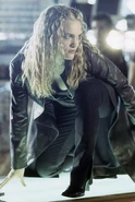 Shalimar Fox | Enhancedhumangeneticsdatabase Wikia | Fandom