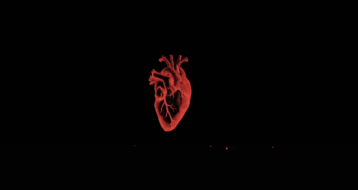 Heart World | Enigma (FANWIKI) Wiki | Fandom