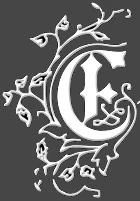 Accueil | Enki Wiki | Fandom