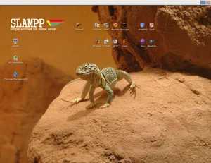 SLAMPP | Linux Wiki | Fandom