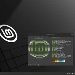 Mint Kde Desktop