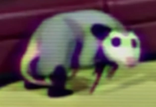 Chicken Scratch | Ensemble Dark Horse Wiki | Fandom