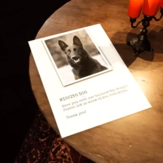 Bob Bingi | Ensemble Dark Horse Wiki | Fandom