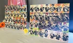 Starry Symphony -Superbloom- | The English Ensemble Stars Wiki | Fandom