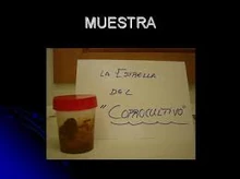 COPROCULTIVO | Enseñamos para que Aprendan Wiki | Fandom