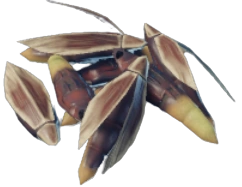 Luciole | Wiki Enshrouded | Fandom