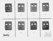 Salty's Face | Enterprisingengine93 Wiki | Fandom
