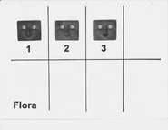 Flora's Face | Enterprisingengine93 Wiki | Fandom