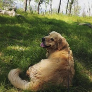 Watson | Enterprisingengine93 Wiki | Fandom