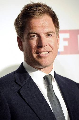 Michael Weatherly | Television Wiki | Fandom