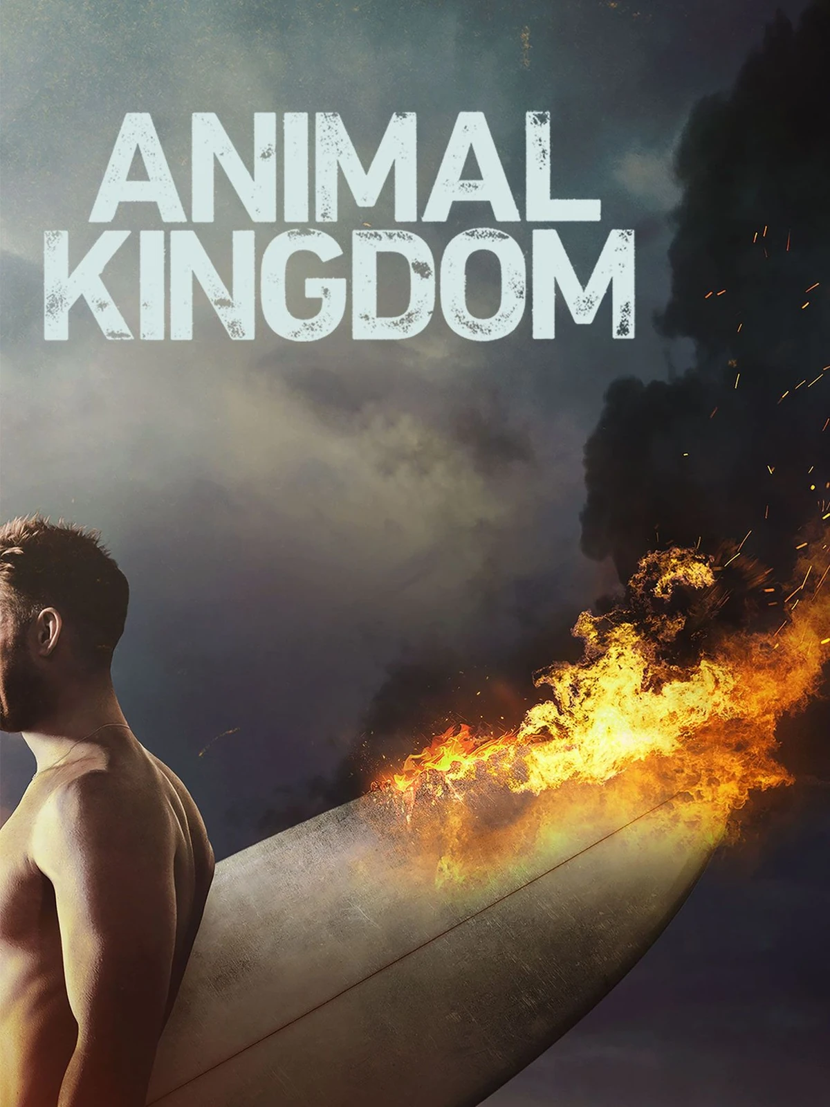 Animal Kingdom | Television Wiki | Fandom