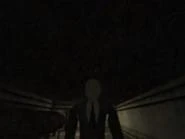 Prison. | Entity Wiki | Fandom