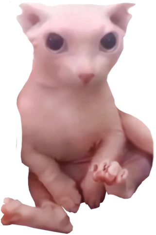 Bingus | Entitys & Lore Wiki | Fandom