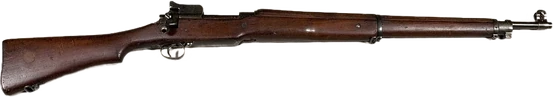 Enfield P1914 | Entrenched Wiki | Fandom
