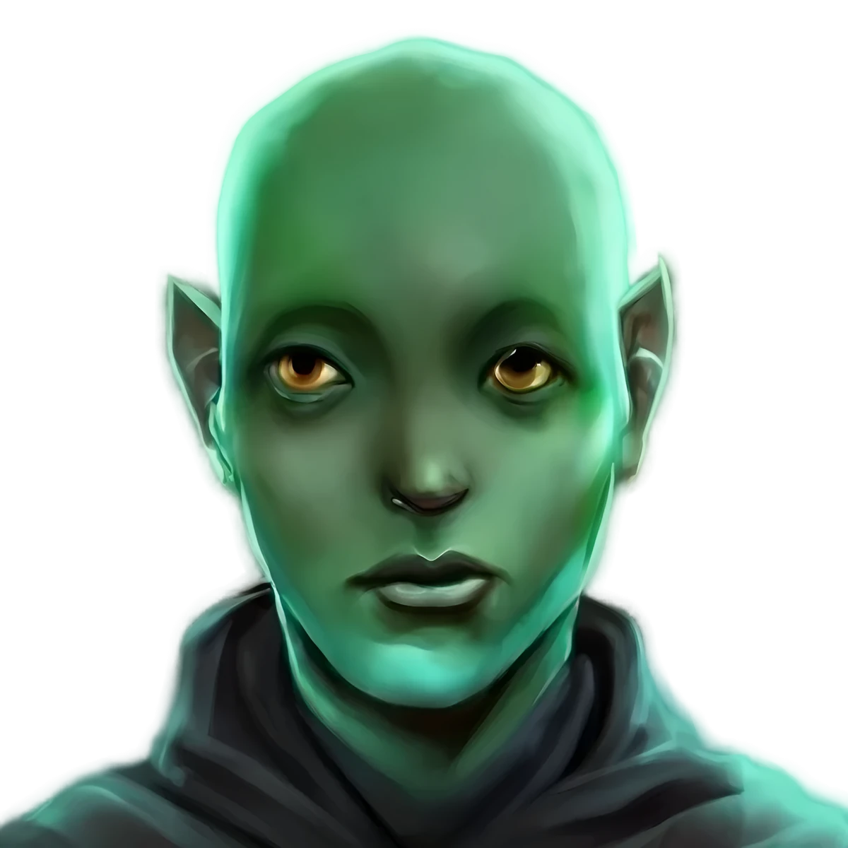 Getric Nokk | Enversum Wiki | Fandom