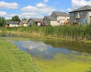 Current situation | Environmental protection Wiki | Fandom