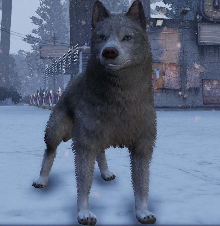 Ghost | Echo RP Wiki | Fandom