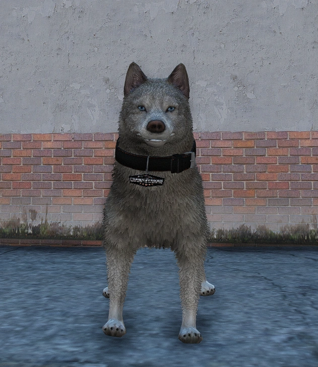 Ghost | Echo RP Wiki | Fandom