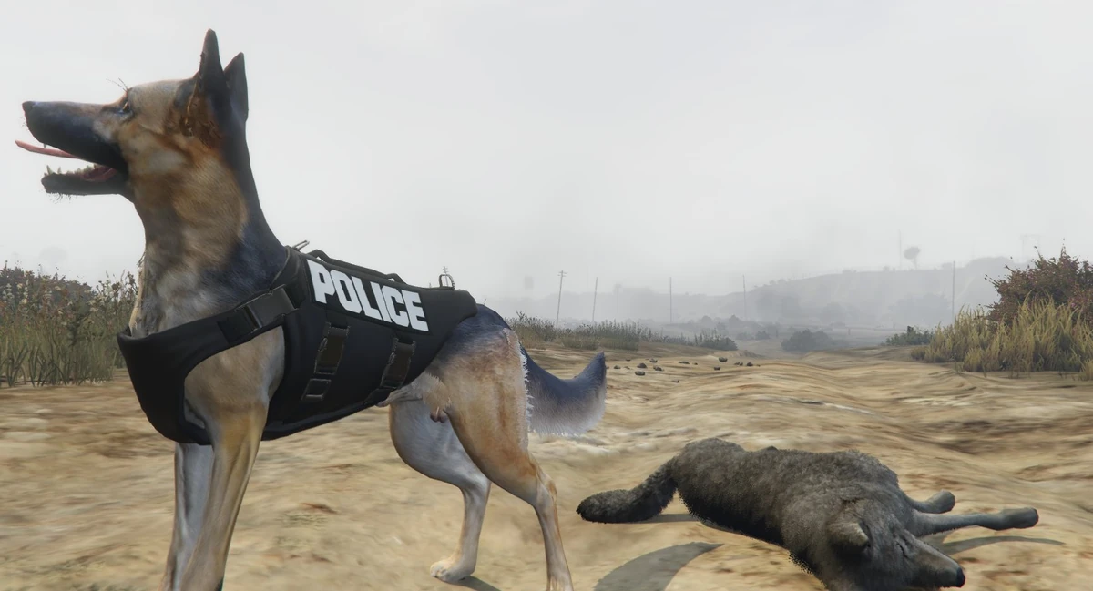 Faith | Echo RP Wiki | Fandom