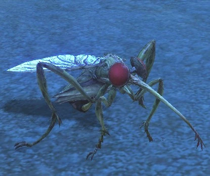 Catégorie:Chigoe | Final Fantasy XIV Wiki | Fandom