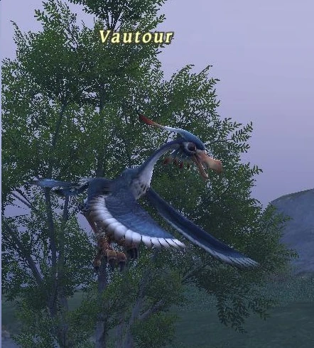 Vautour | Final Fantasy XIV Wiki | Fandom