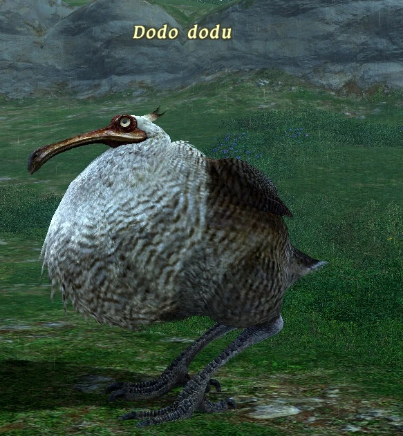 Dodo dodu | Final Fantasy XIV Wiki | Fandom
