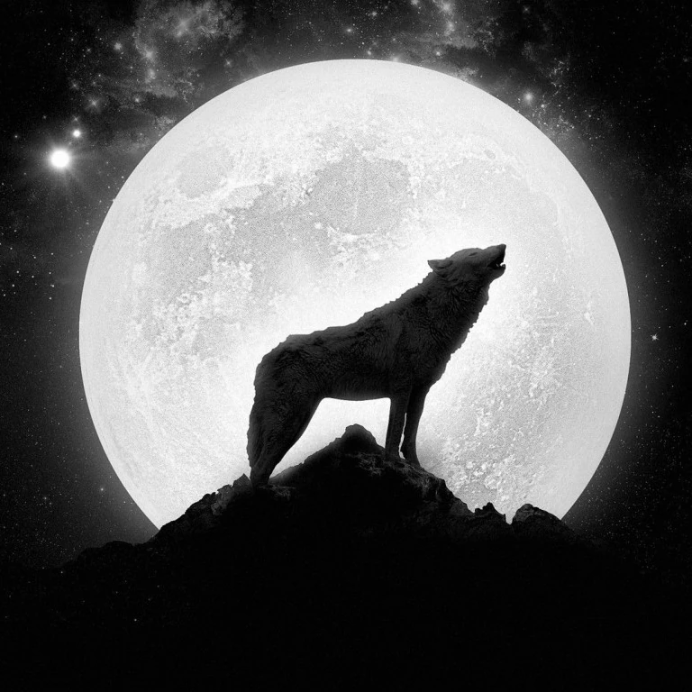 Werewolves | Era of the Dragon Wiki | Fandom