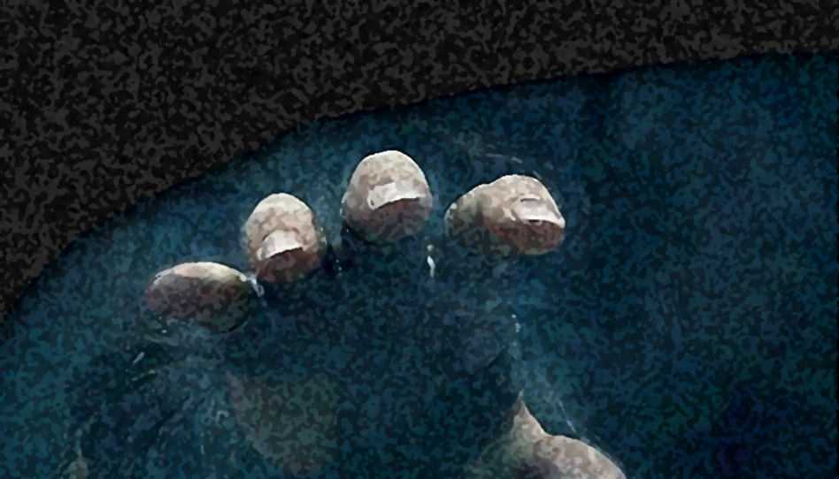 EotF: Kapitel 32 | Eclipse of the Force Wiki | Fandom