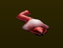 Giant Earthworm | Ephemeral Fantasia Wiki | Fandom