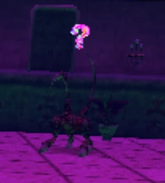 Confusion | Ephemeral Fantasia Wiki | Fandom