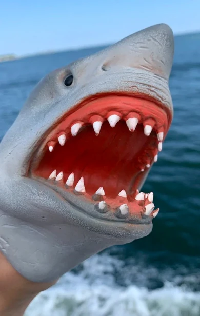 Shark Puppet | Epic and Awesome Animations Wiki | Fandom