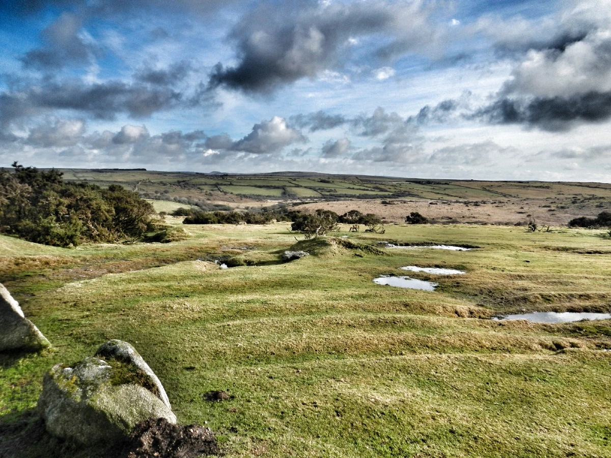 WindClan | Epic OC Warrior Cats Wiki | Fandom