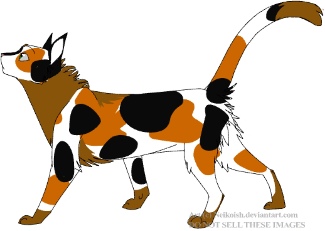 Dapplestar | Epic OC Warrior Cats Wiki | Fandom