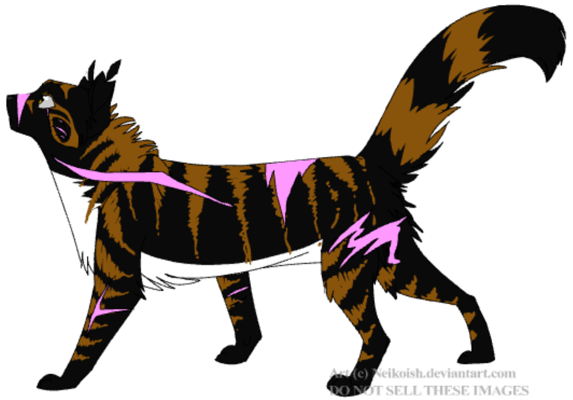 Hawkheart Epic Oc Warrior Cats Wiki Fandom