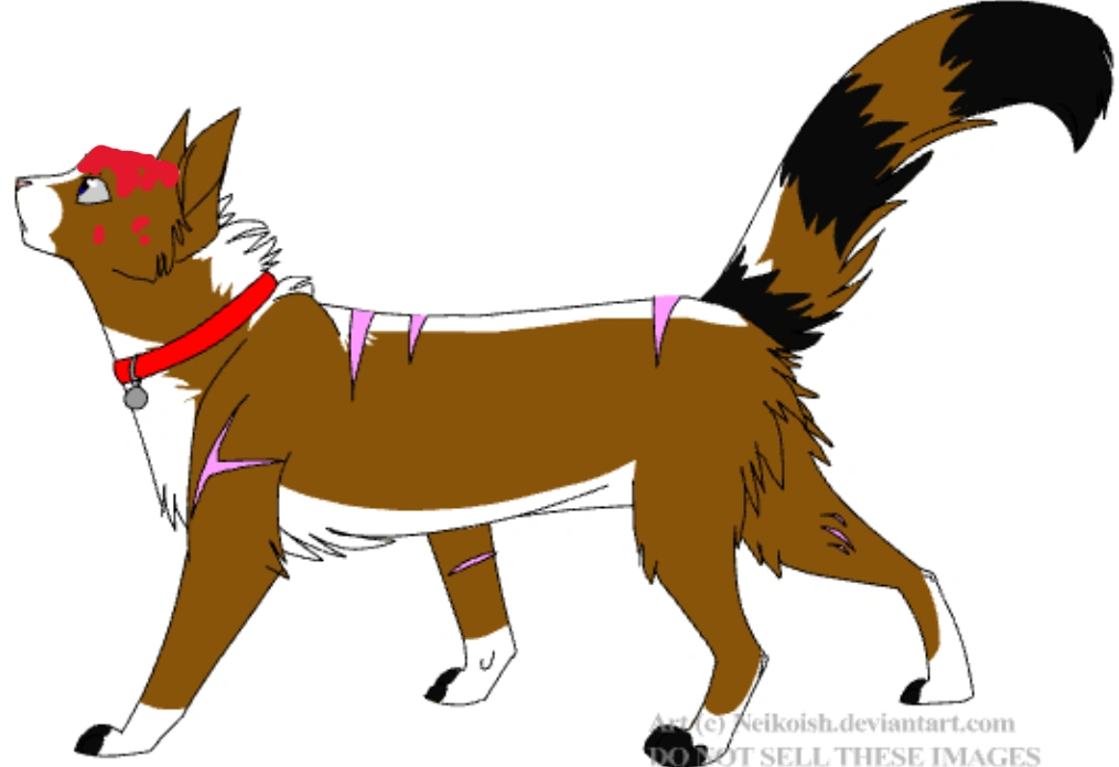 Burt | Epic OC Warrior Cats Wiki | Fandom