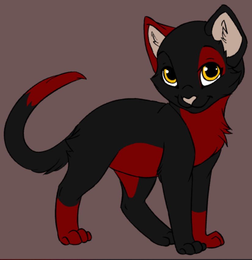 Batkit Epic Oc Warrior Cats Wiki Fandom