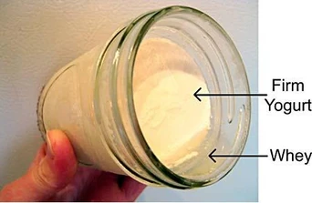 Yogurt Cultures | Epic ReFresh DX: Science Lab Wiki | Fandom