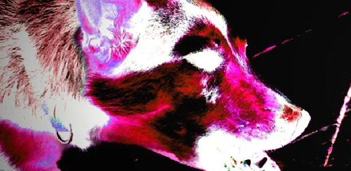 Screamer | Epic Battle Fantasy Wiki | Fandom