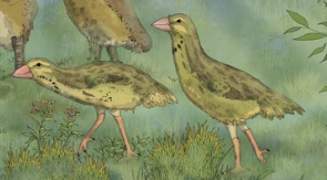 List of Species | Epic of Serina Wiki | Fandom