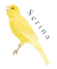 Epic of Serina Wiki | Fandom