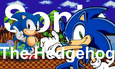 User blog:TCalderon/Satsuki Kiryuin vs Sonic the Hedgehog - Weeb Shit ...